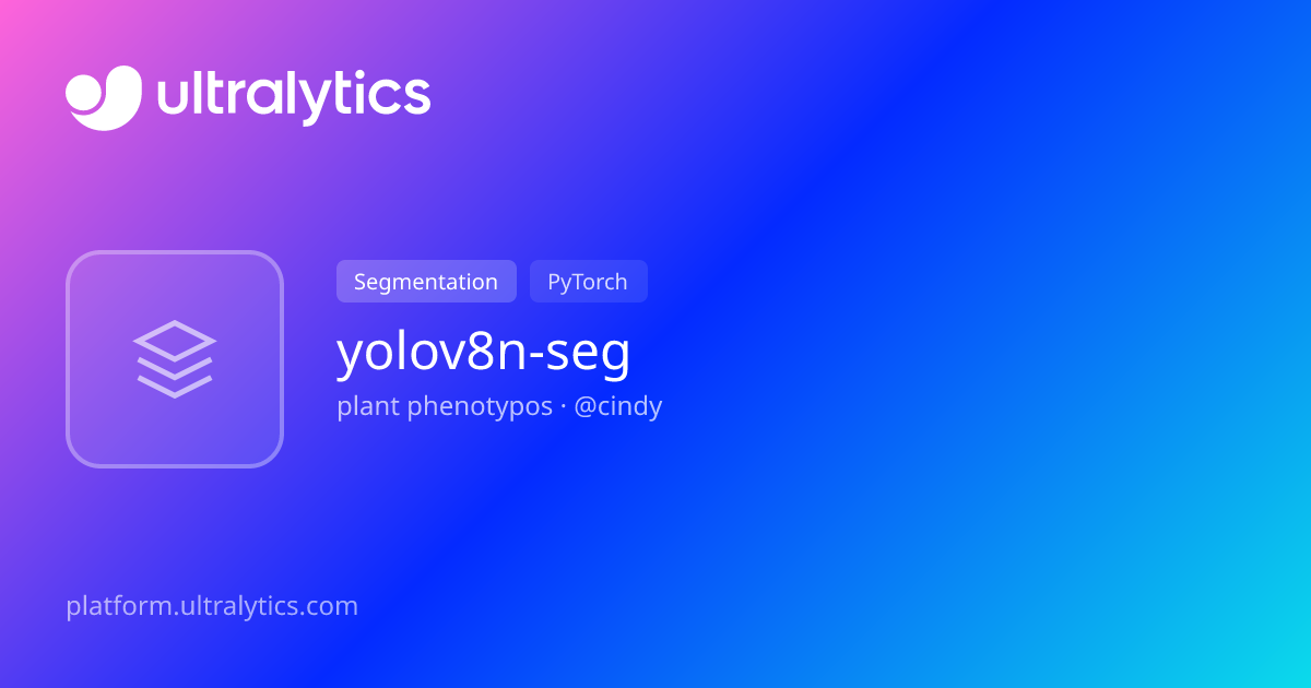 YOLOv8n Seg | Ultralytics Platform
